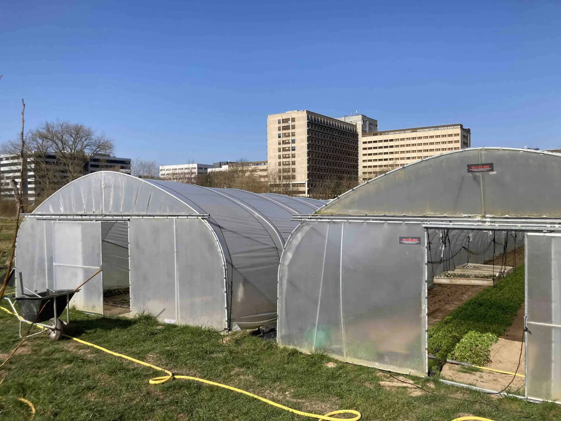 Eigen kweek: Neerpede | Brukselbinnenstebuiten